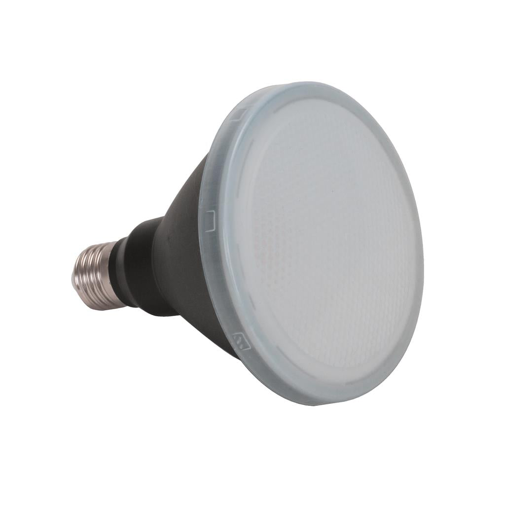 KEY PAR30-12 E27 Dimmable Frosted Led Globe – Downlights Online